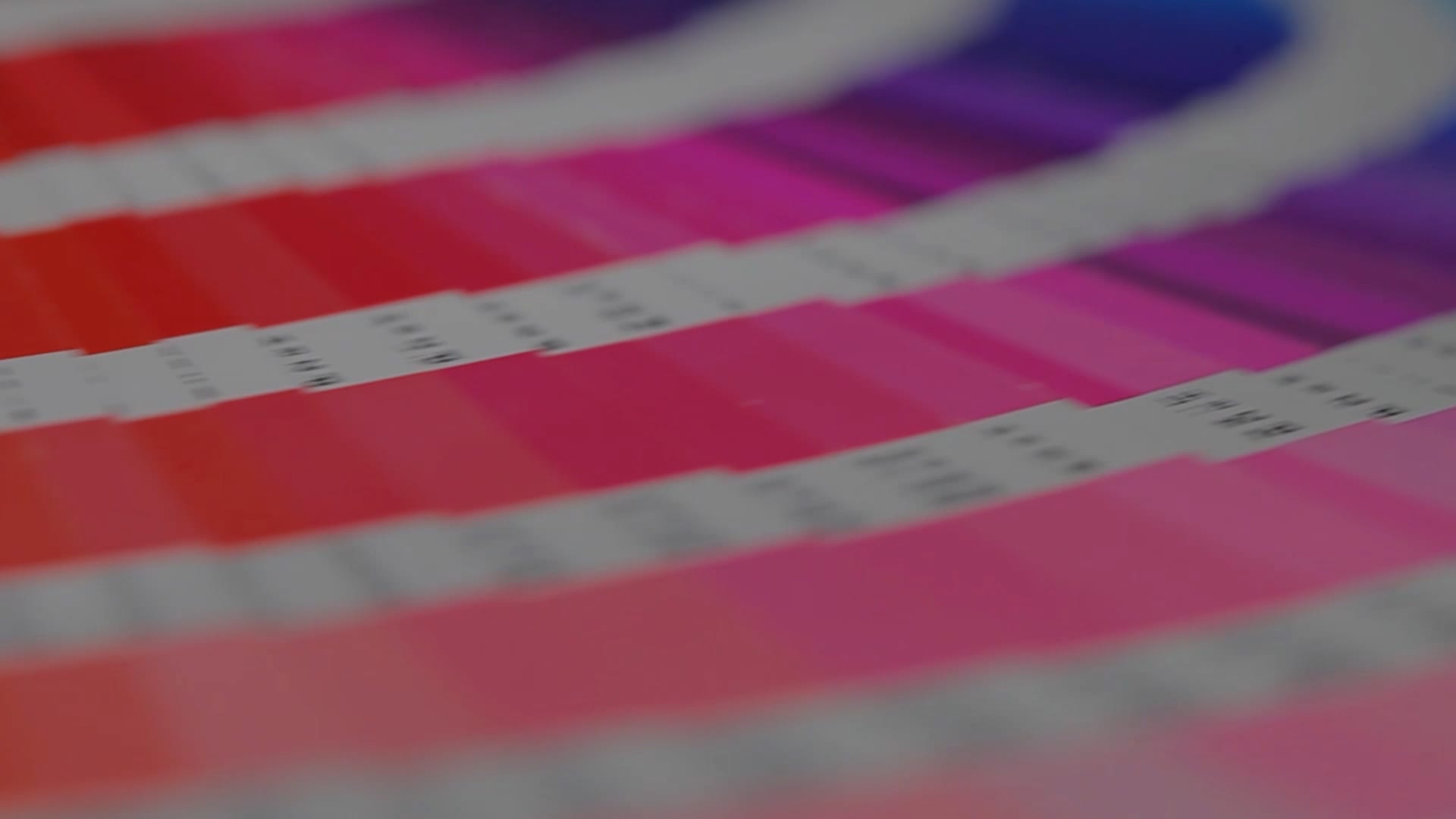 Texas Paint, Wallpaper, and Supplies Dallas Texas